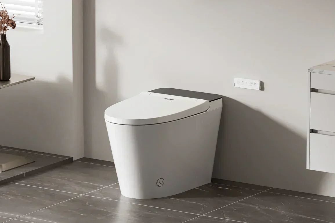 Top 5 Benefits of Smart Toilets for Modern Homes – Bazyths